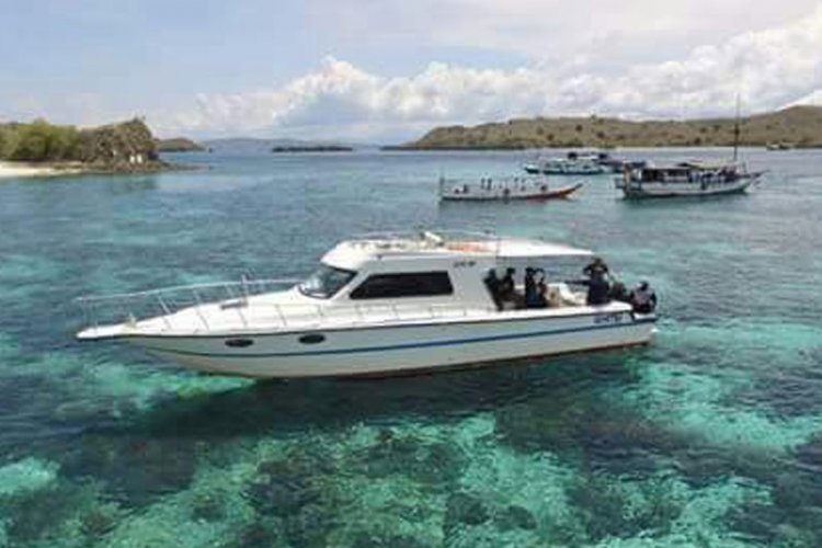Rinca and Komodo Island tour from Bali for 3 days - 2 nights trip package